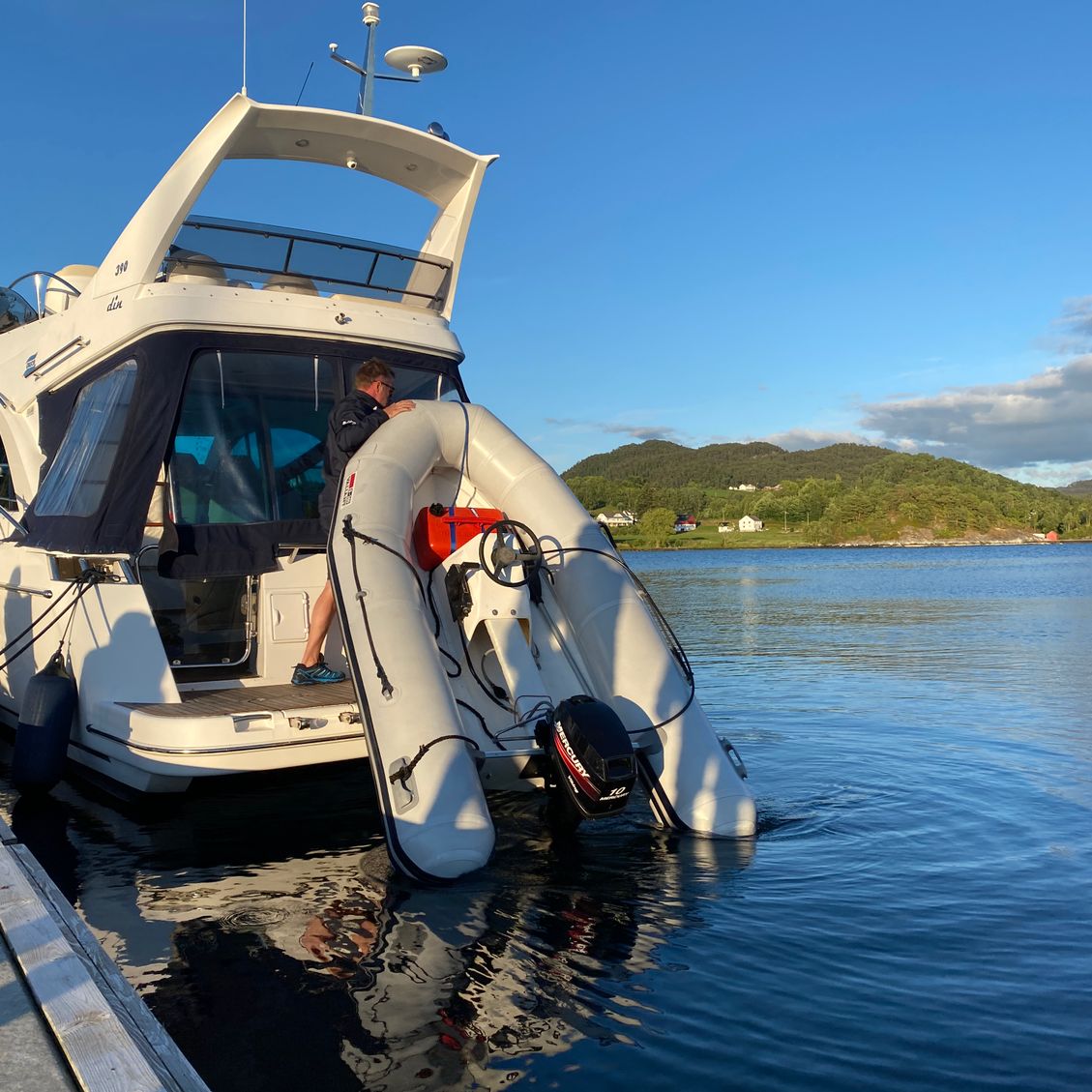Norwegian Swivel Davit System